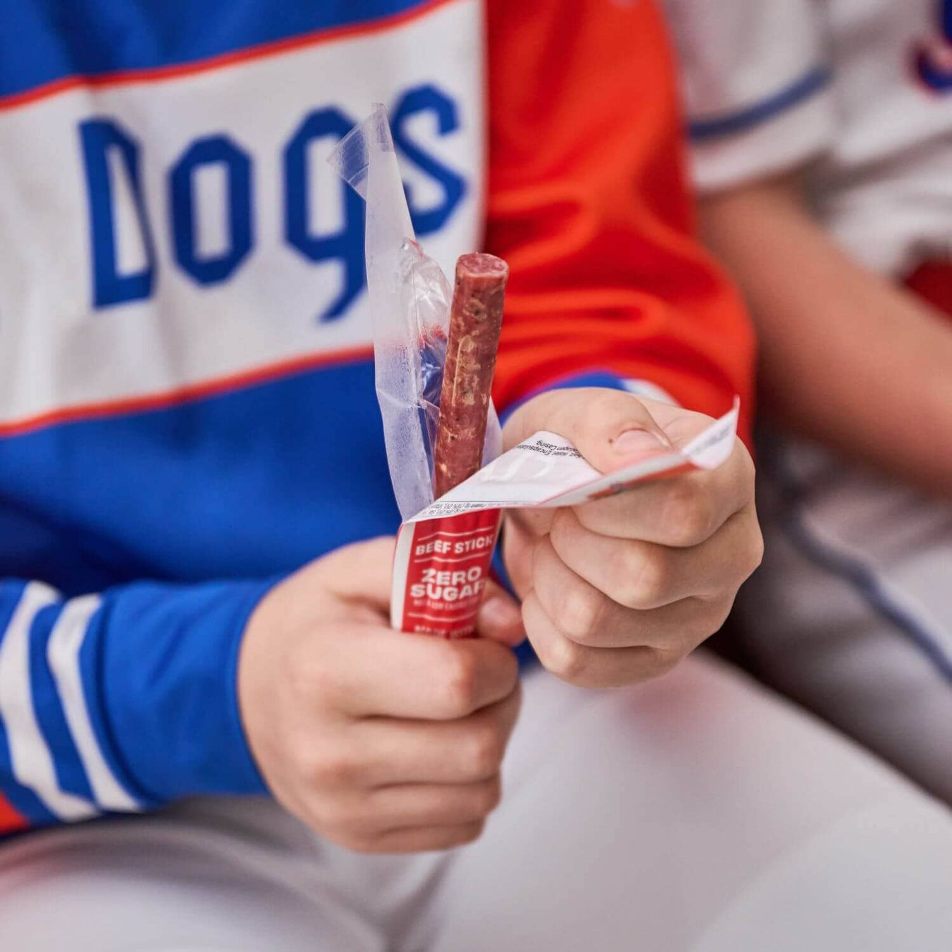 Classic Beef Stick – Archer Jerky